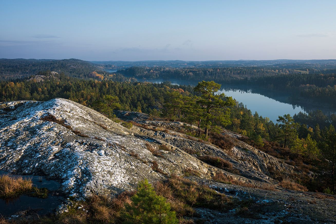 Billerud’s sustainable art of packaging materials