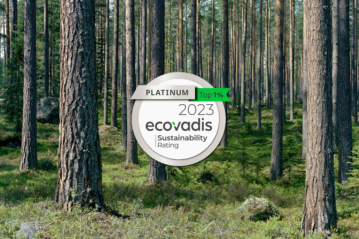 Billerud receives high marks in sustainability measurements - Billerud