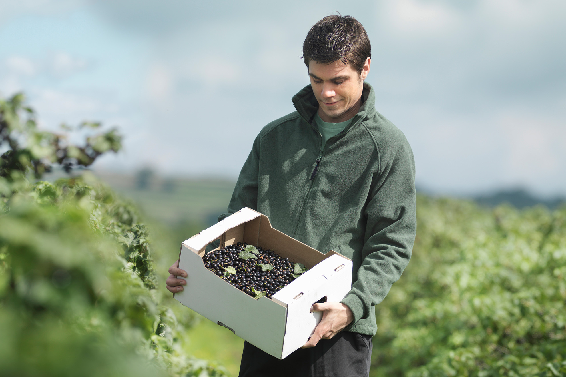 Region Europe - Billerud