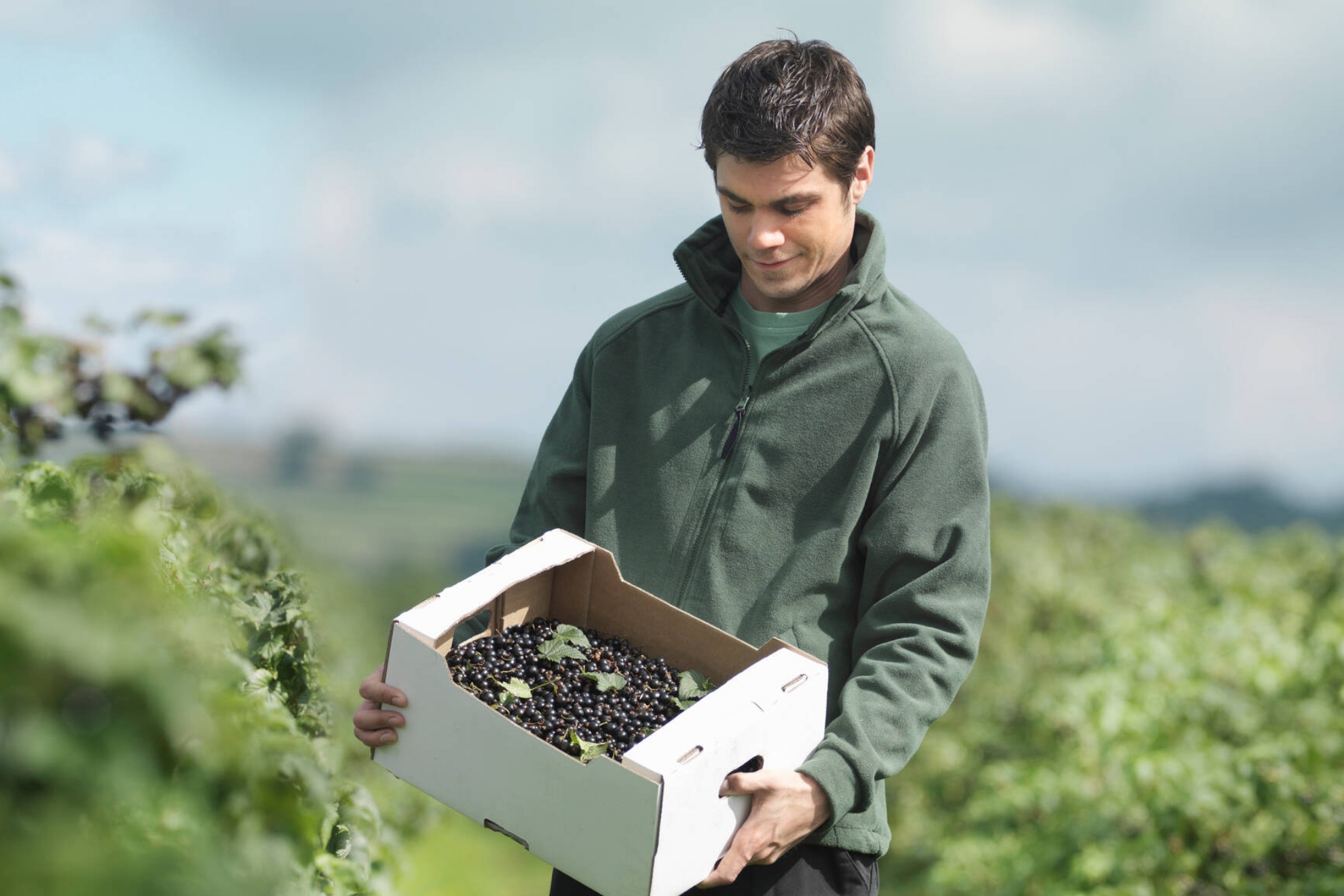 Billerud for recycling longevity