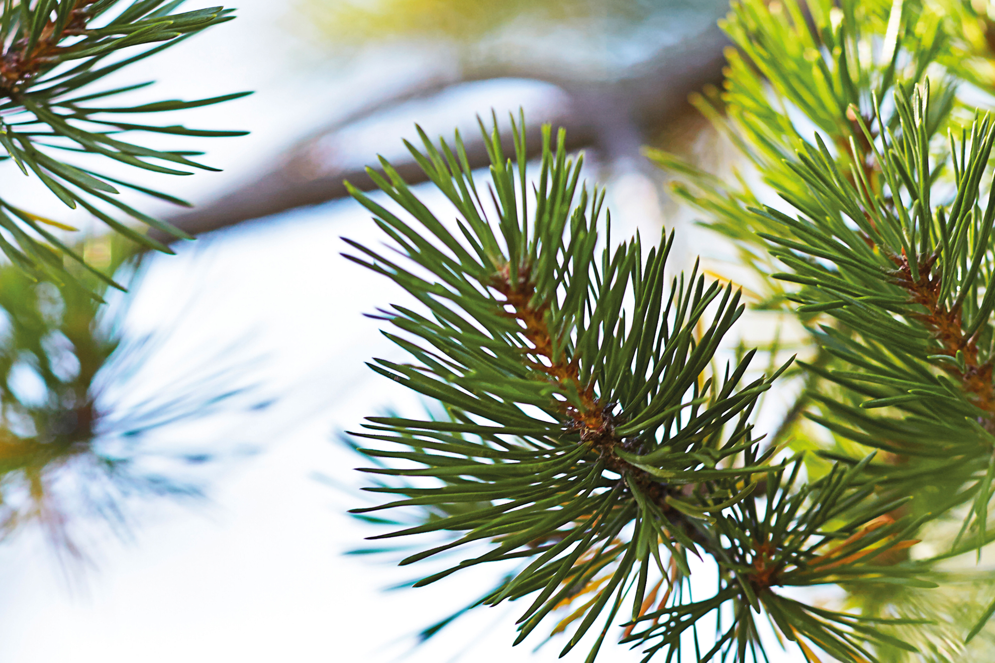 ConFlex HeatSeal: Paper-based sealing