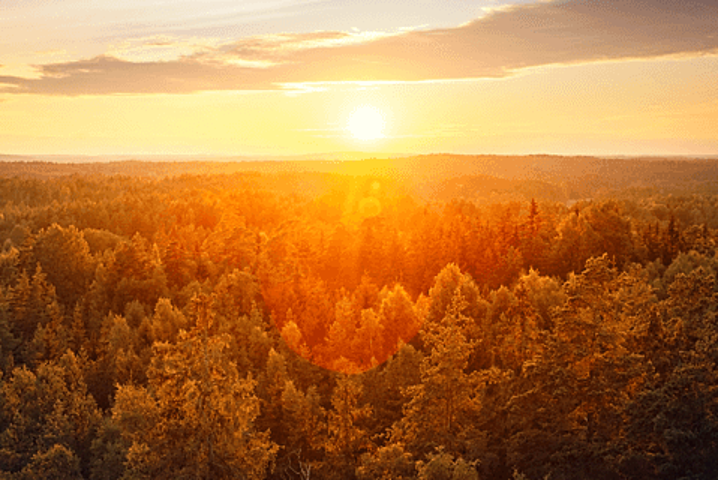 Liquid packaging board to preserve and protect – Billerud