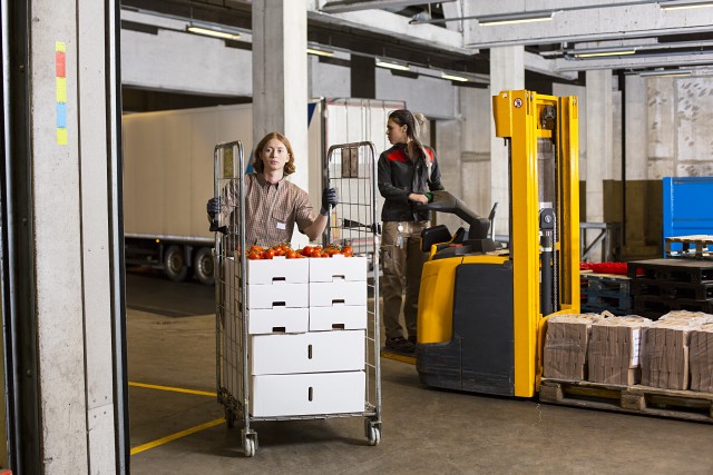 Sustainable packaging for transport and display