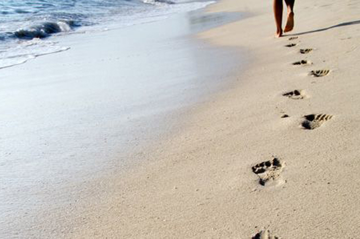 FibreForm – 3D cold-formable paper for FibreForm packaging