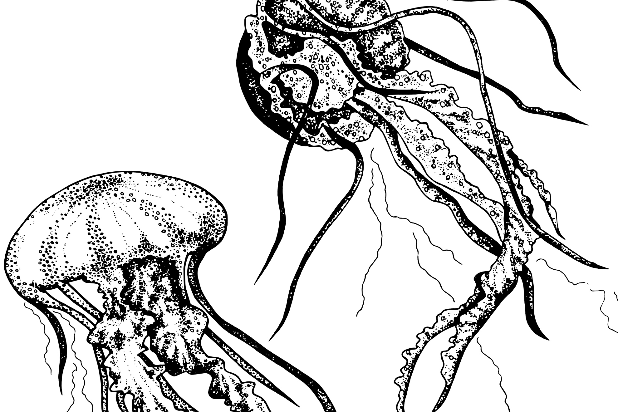 Visual Effects – No limits