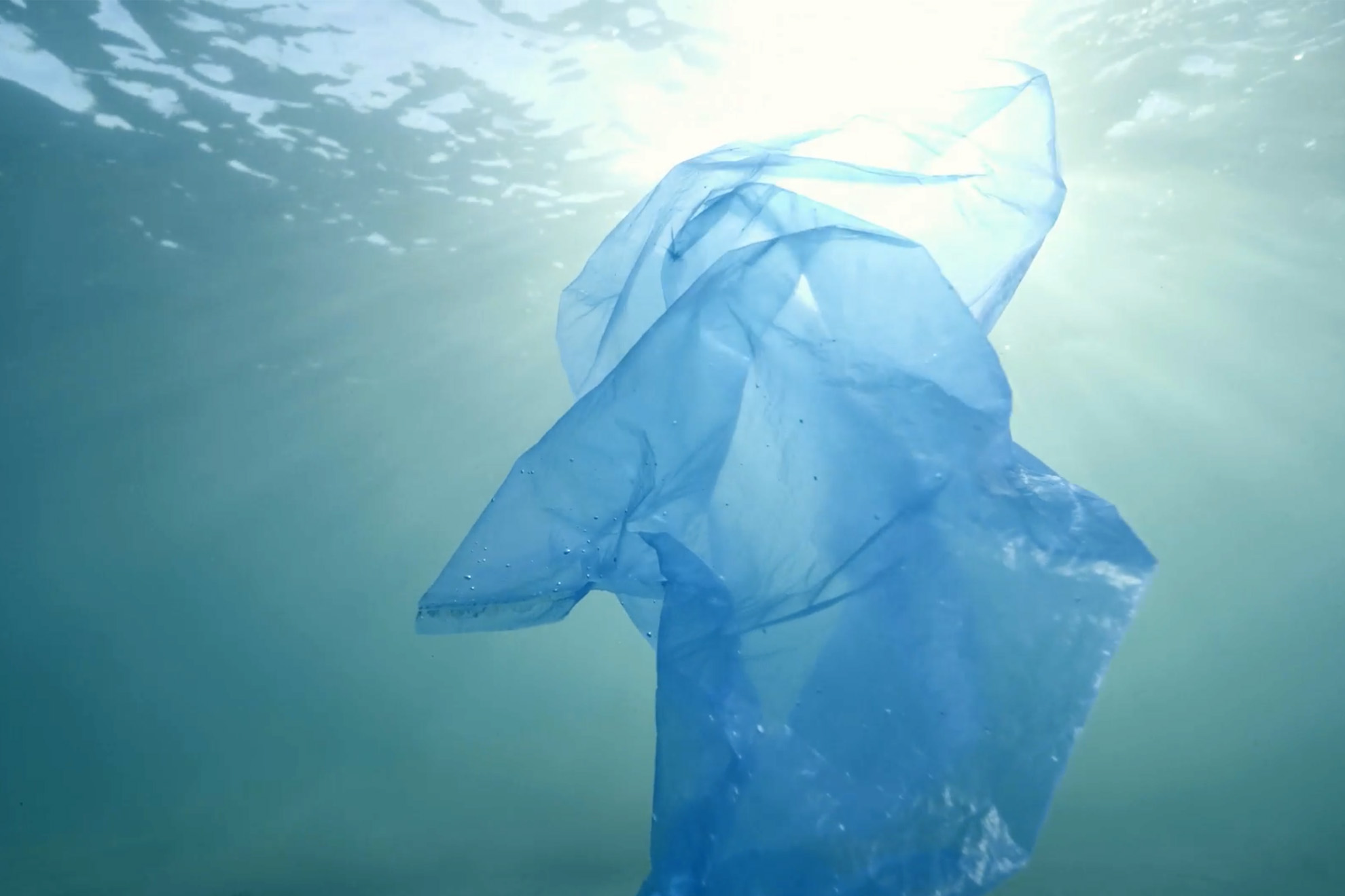 Paper takes centre stage – BillerudKorsnäs celebrates the first ...