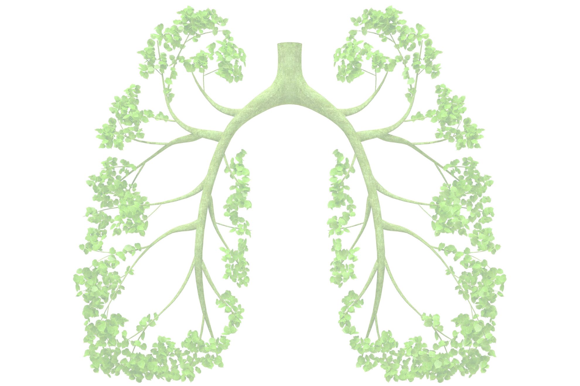 Use our Sack Calculator to optimise your paper sack – Billerud