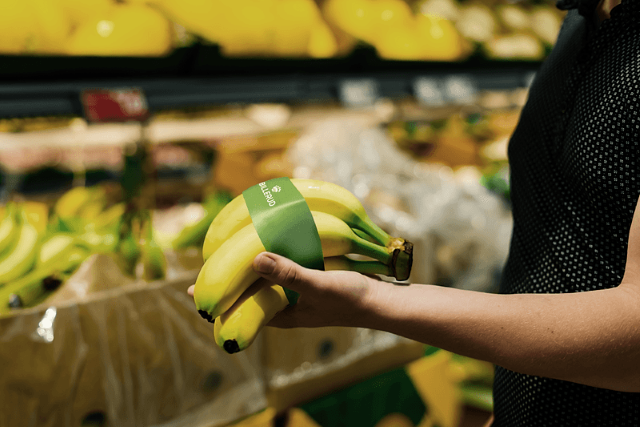 FibreForm – 3D cold-formable paper for FibreForm packaging