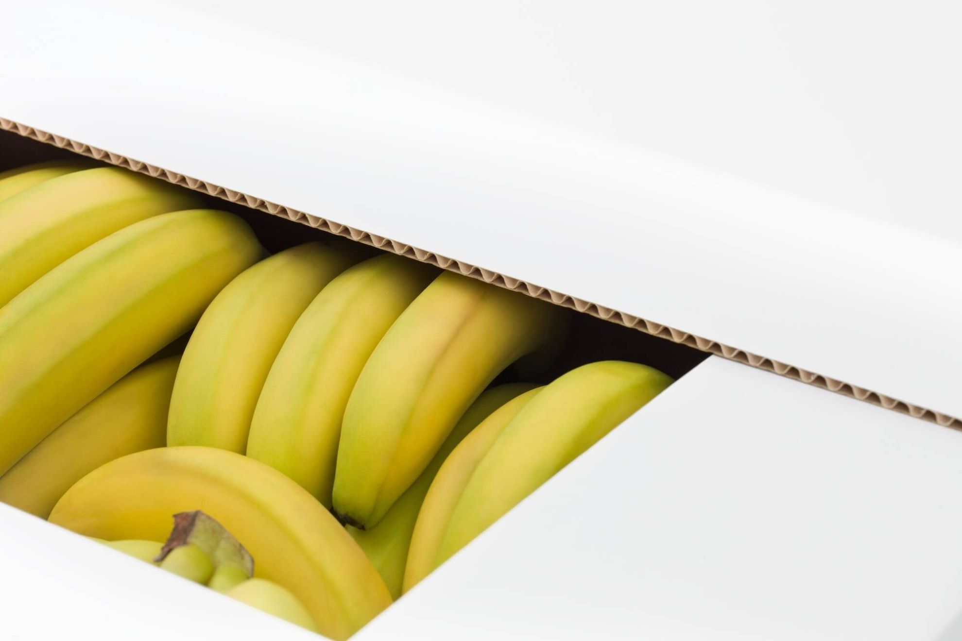 Billerud – Packaging tomorrow