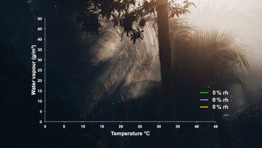 Billerud – What is relative humidity and how does it affect your boxes?