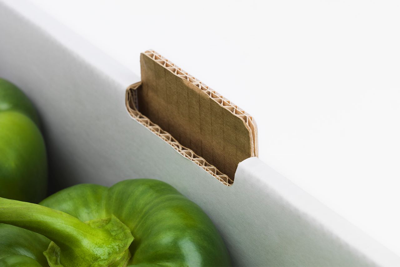 Billerud Flute delivers more savings than expected - Billerud