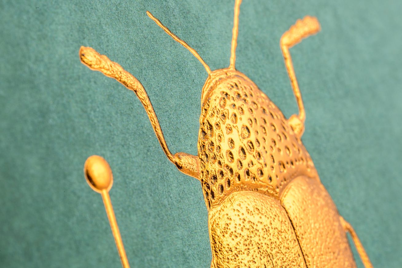 Get creative product packaging FibreForm® Board – Billerud