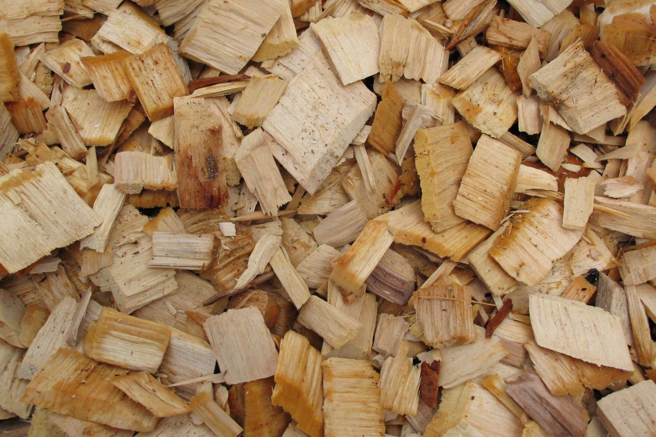 Pulp production from the strongest fibres – Billerud