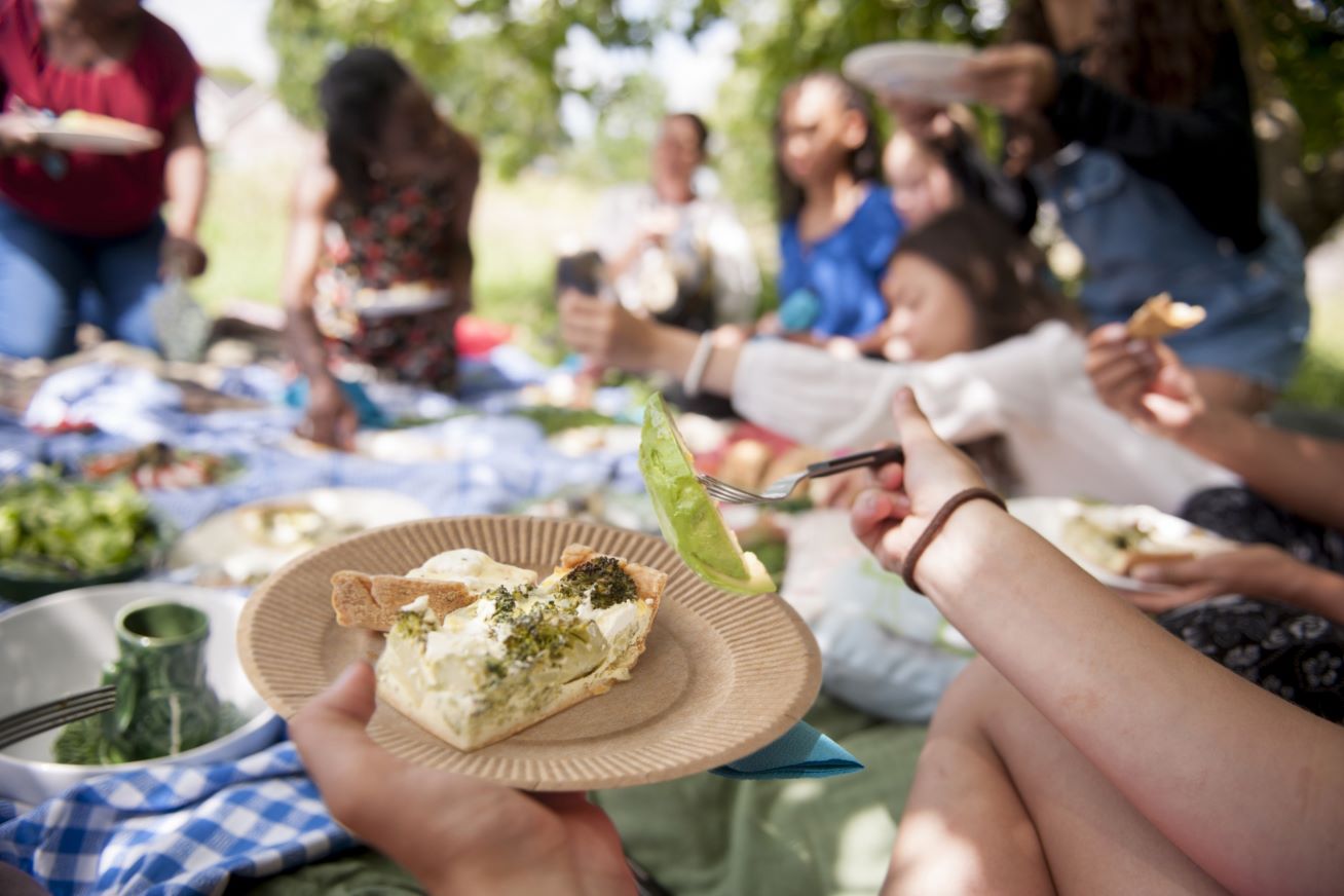 FibreForm paper for plates