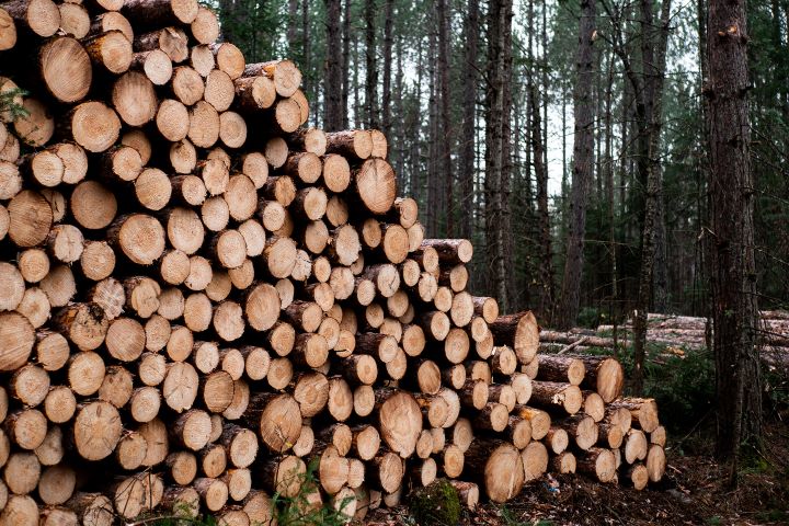 Billerud Wood Supply - Billerud
