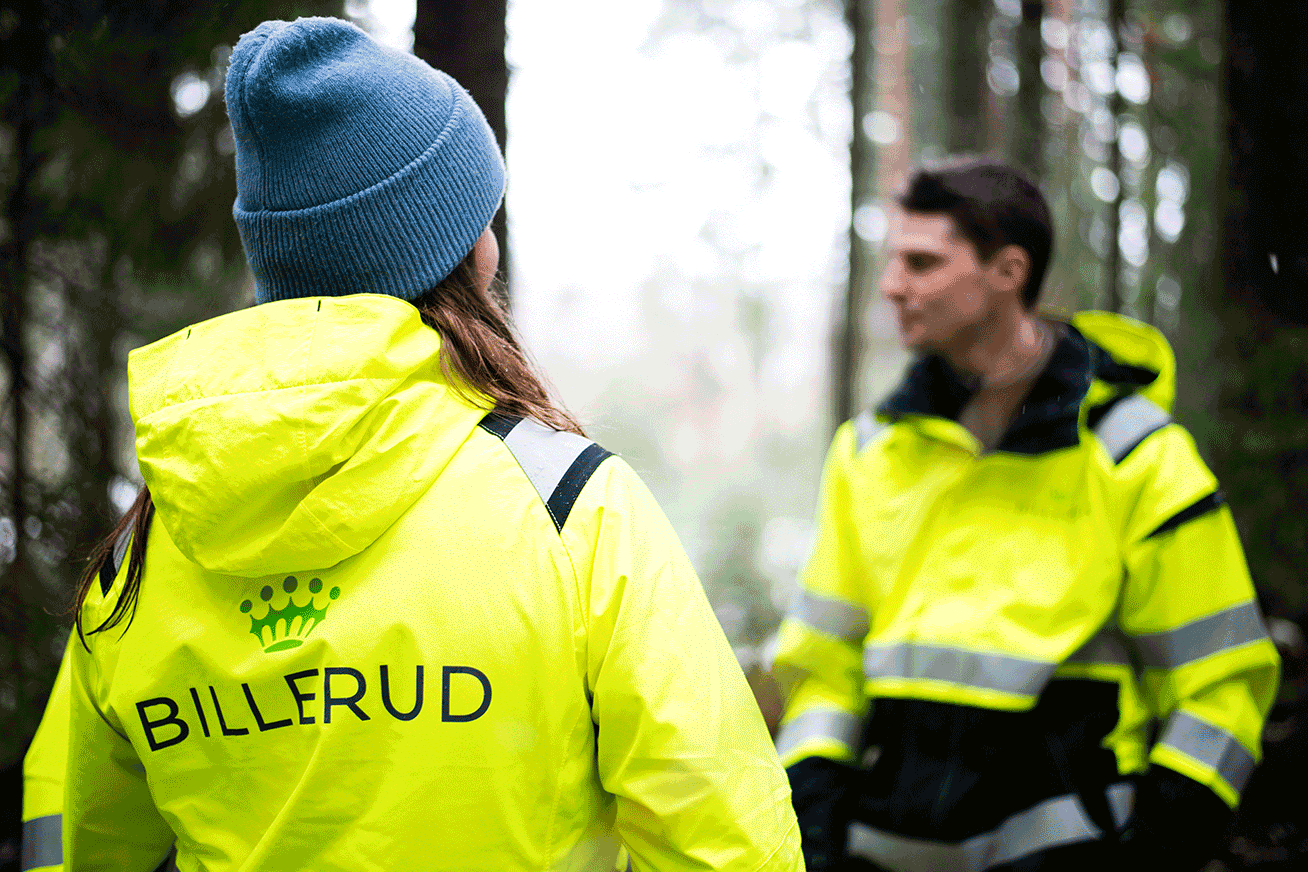 Billerud rekryterar till skogsverksamheten